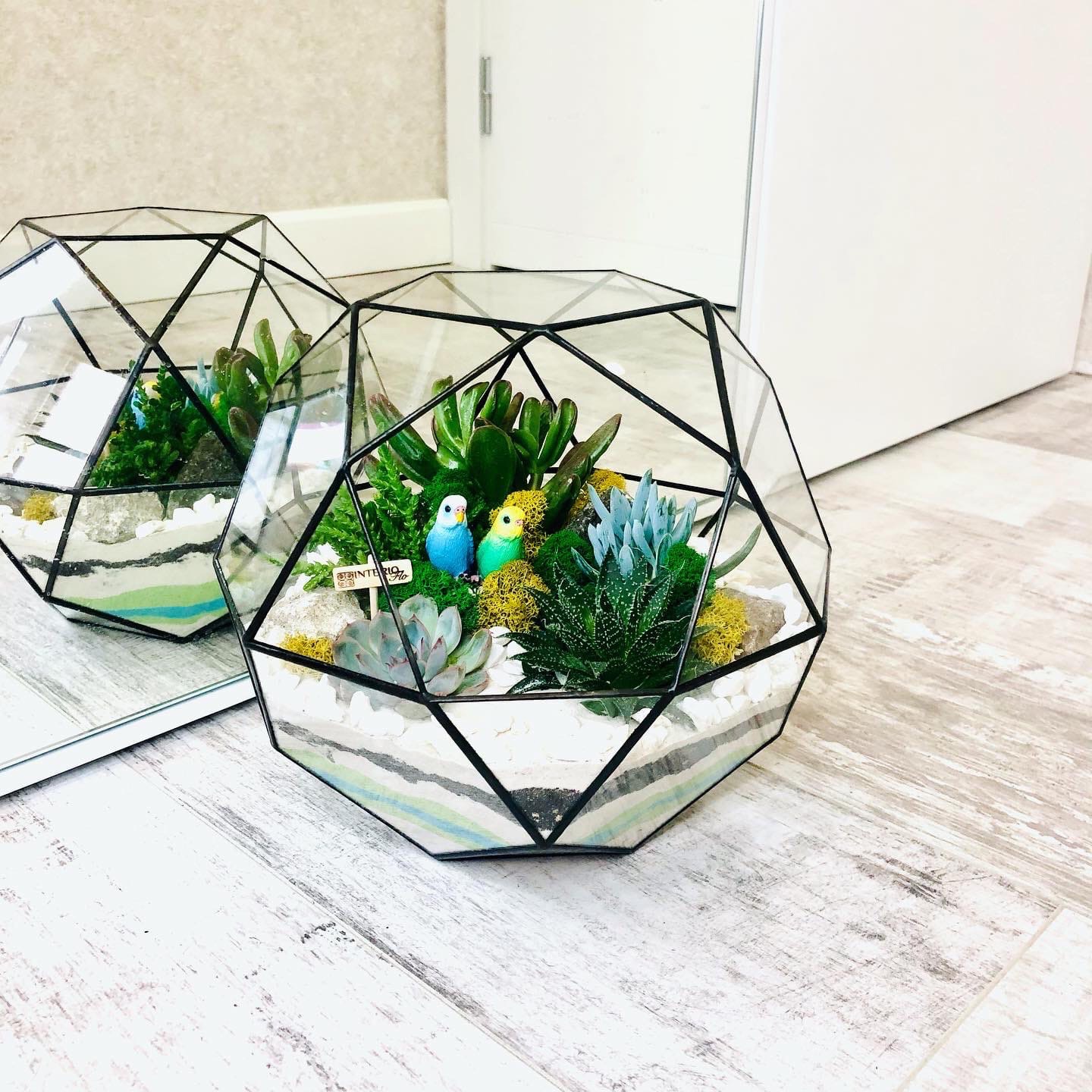 Флорариум Шар - Interio Flo СПб