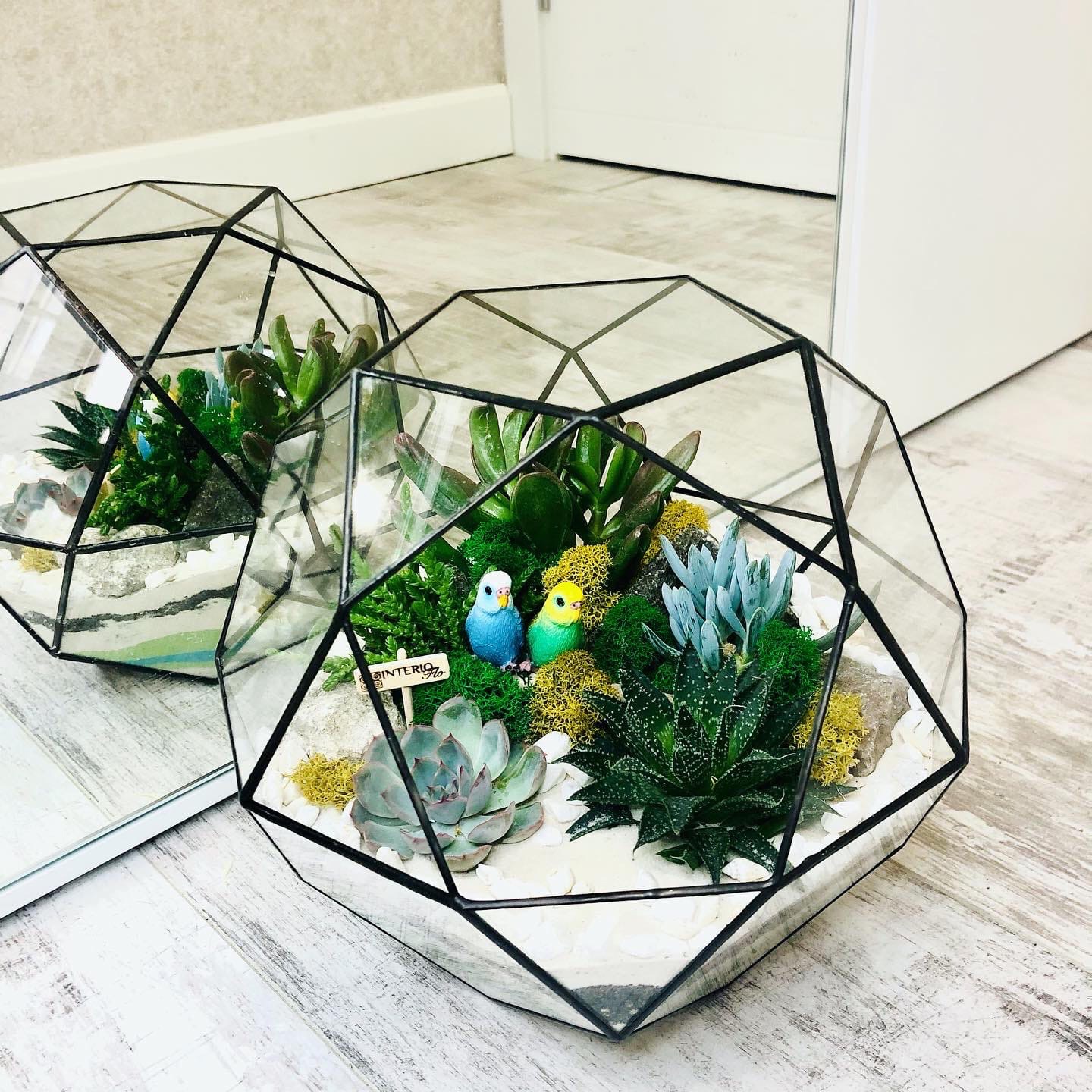 Флорариум Шар - Interio Flo СПб